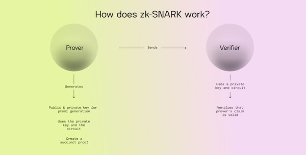 영지식 증명(ZKP)이 바꾸는 블록체인의 미래: zk-SNARK와 zk-STARK의 핵심 이해