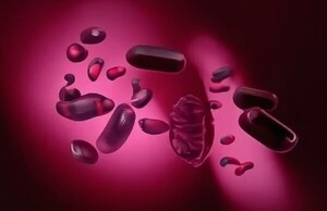 Phase 2 Clinical Trial Results of Rivoceranib/Camrelizumab in Lung ...